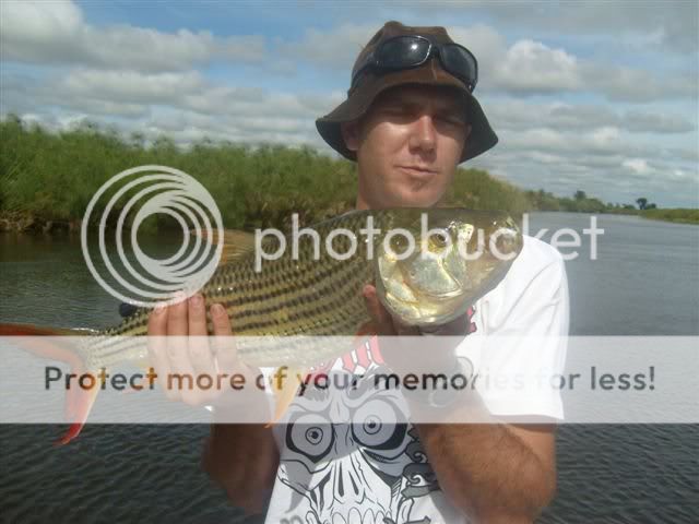 Okavango Tiervis - JARACAL