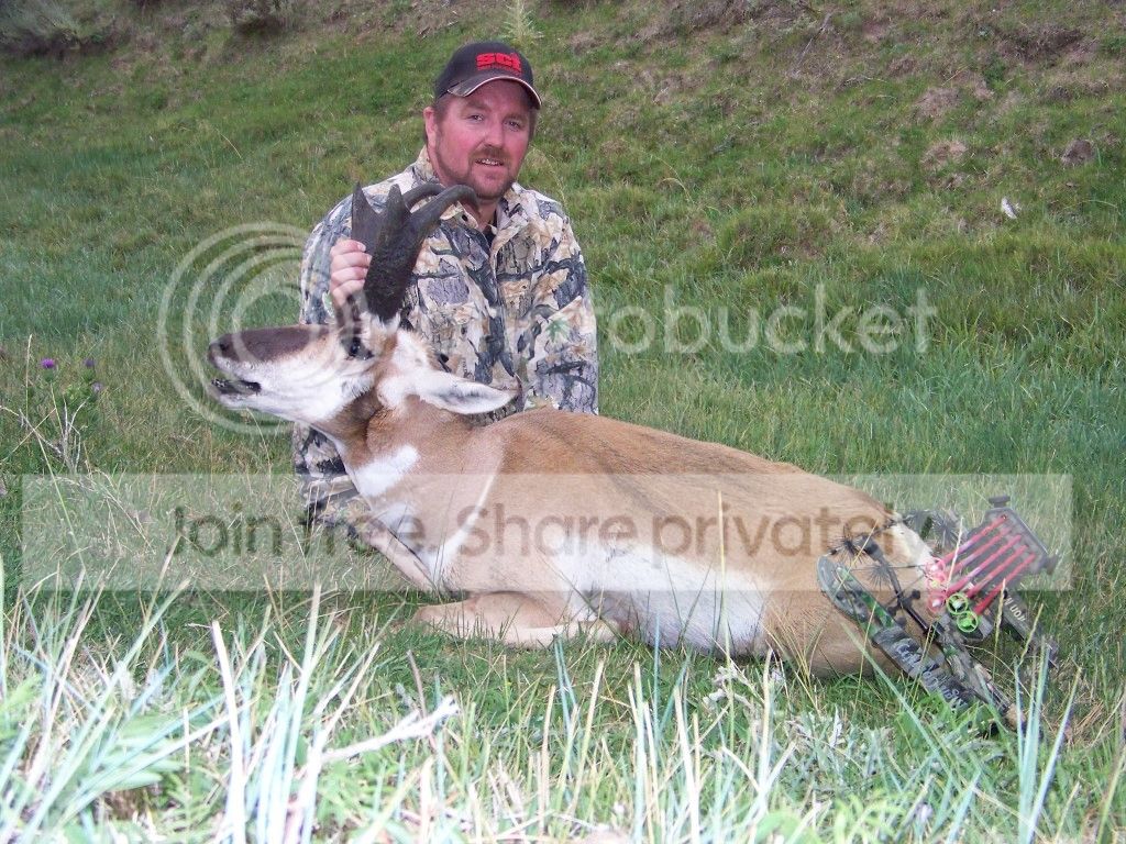 Post your Antelope Kill Pics! | Archery Talk Forum